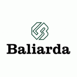 Nuevas oportunidades de empleo: Analista de validaciones en Baliarda S.A.